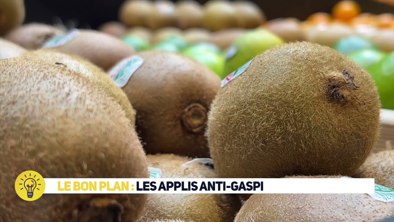 BON PLAN : Les applis anti-gaspi alimentaire – MATÉLÉ